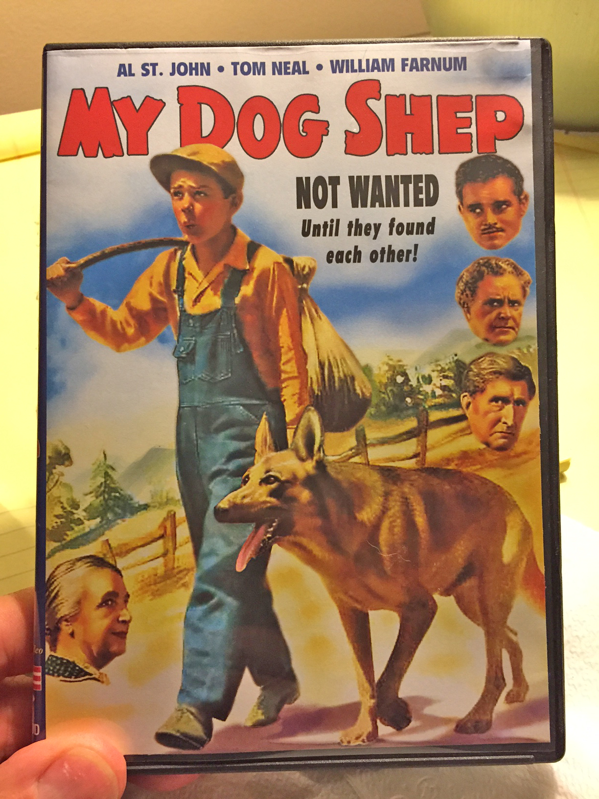Famous Sheps in Dog History, Vol. 3: “My Dog Shep”, 1946 | Shep's Place