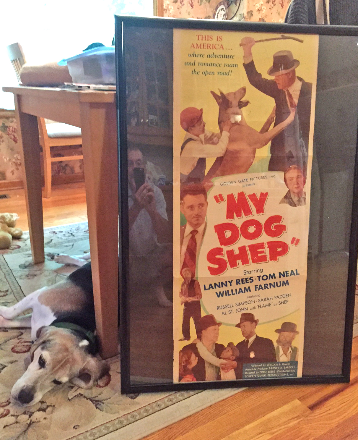 Famous Sheps in Dog History, Vol. 3: “My Dog Shep”, 1946 | Shep's Place